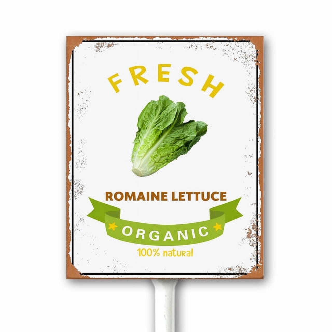 Vintage Romaine Lettuce Metal Sign Outdoor Plant Label Funny Vegetable ...