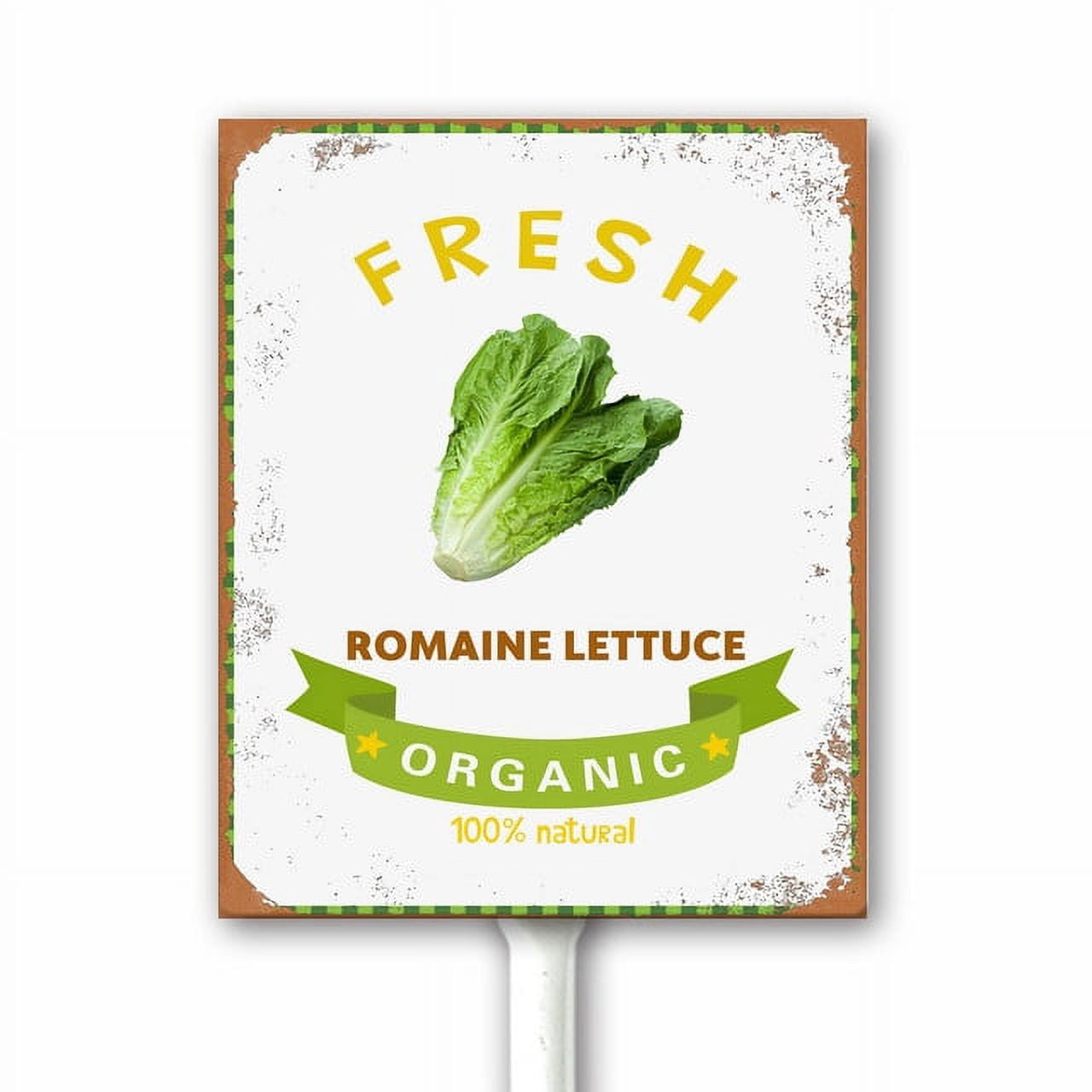 Vintage Romaine Lettuce Vegetable Garden Signs Metal Yard Sign With ...