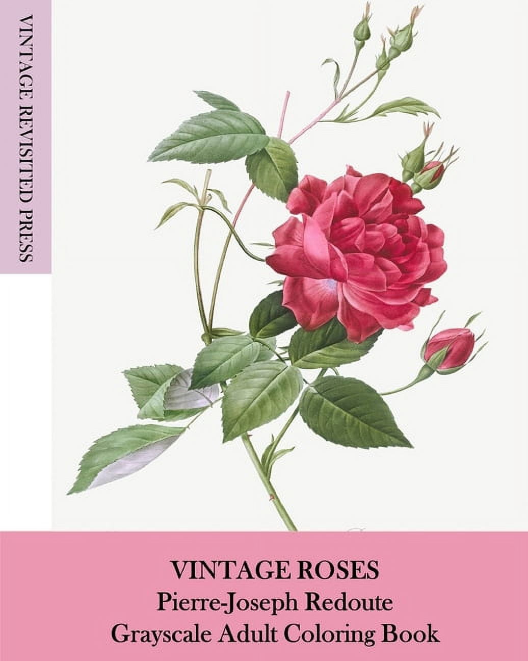 Vintage Roses: Pierre-Joseph Redoute Grayscale Adult Coloring Book ...