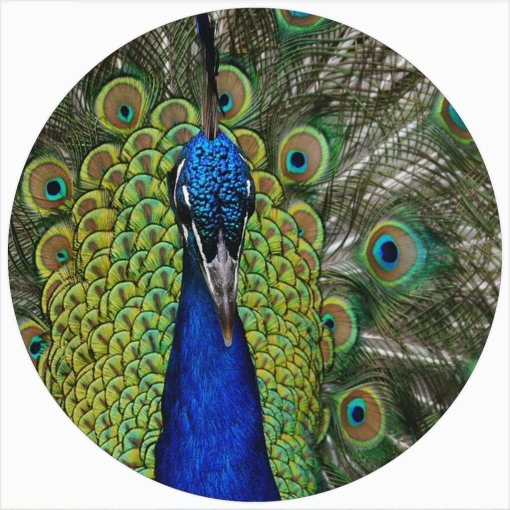 Vintage Round Metal Tin Sign Peacock Rustic Wreath Sign Home Kitchen ...