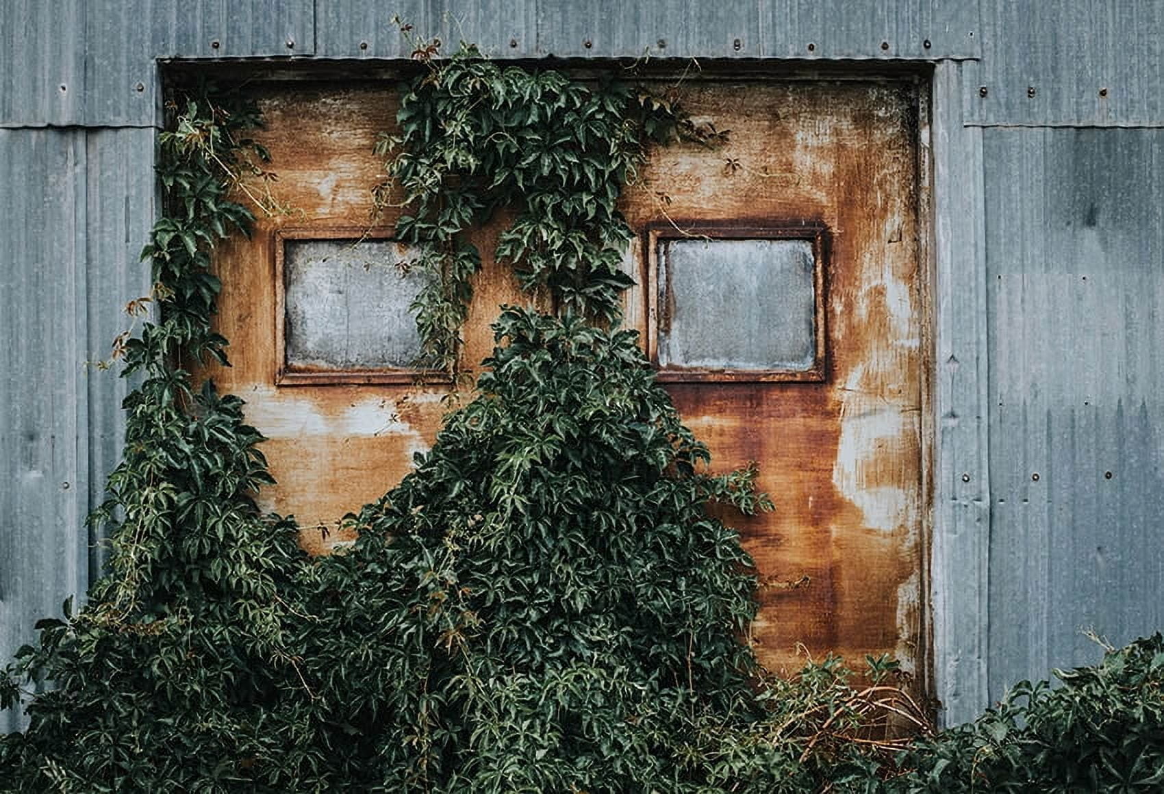 Vintage Rustic Brick Wall Wood Door Creeper Leaves Wedding Kids ...