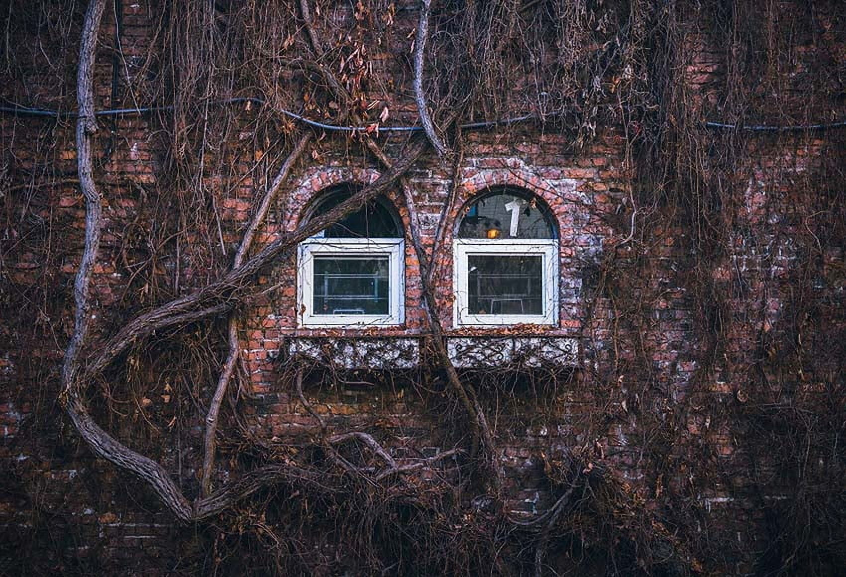 Vintage Rustic Brick Wall Wood Door Creeper Leaves Wedding Kids ...