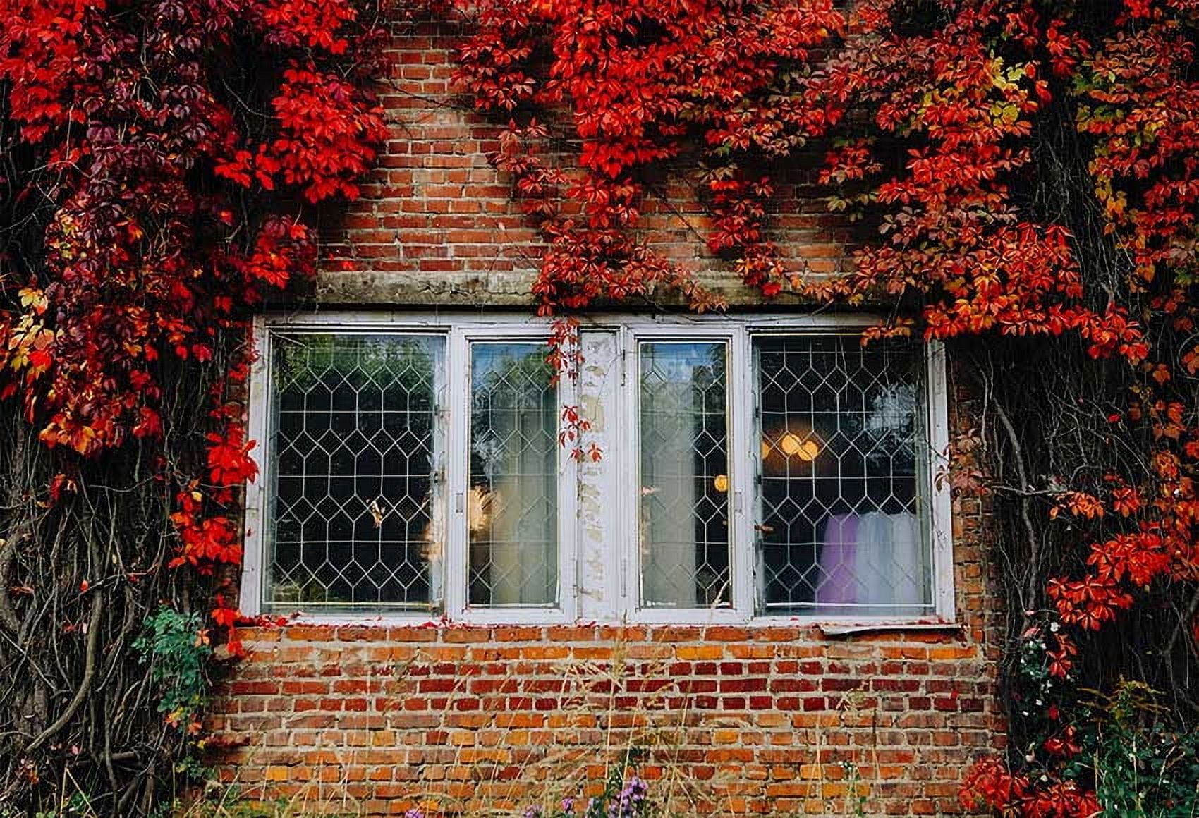 Vintage Rustic Brick Wall Wood Door Creeper Leaves Wedding Kids ...