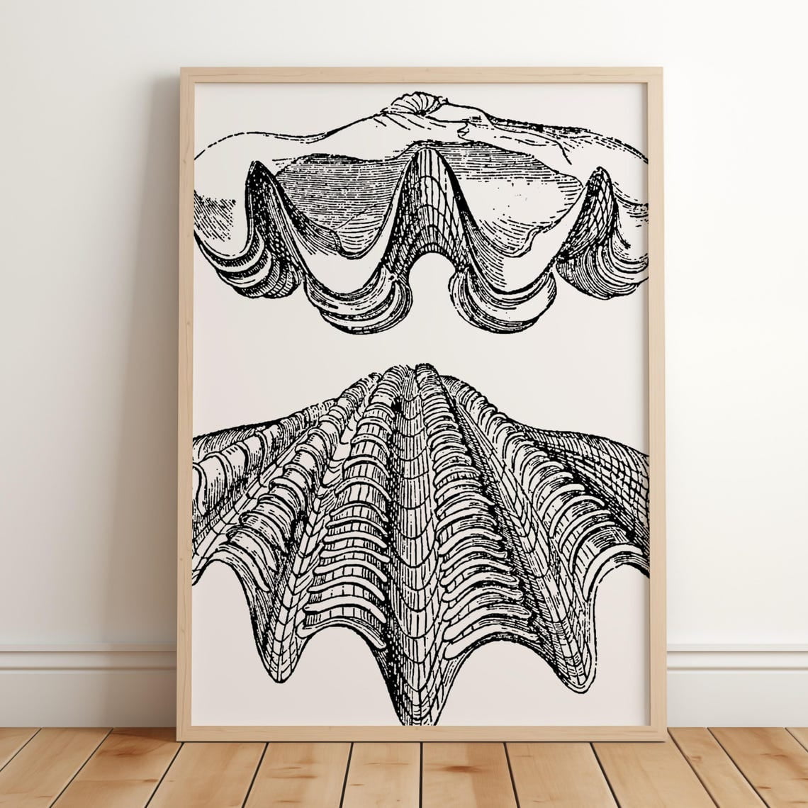 Vintage Sea Shell Wall Art Print Coastal Beach House Decor Neutral ...