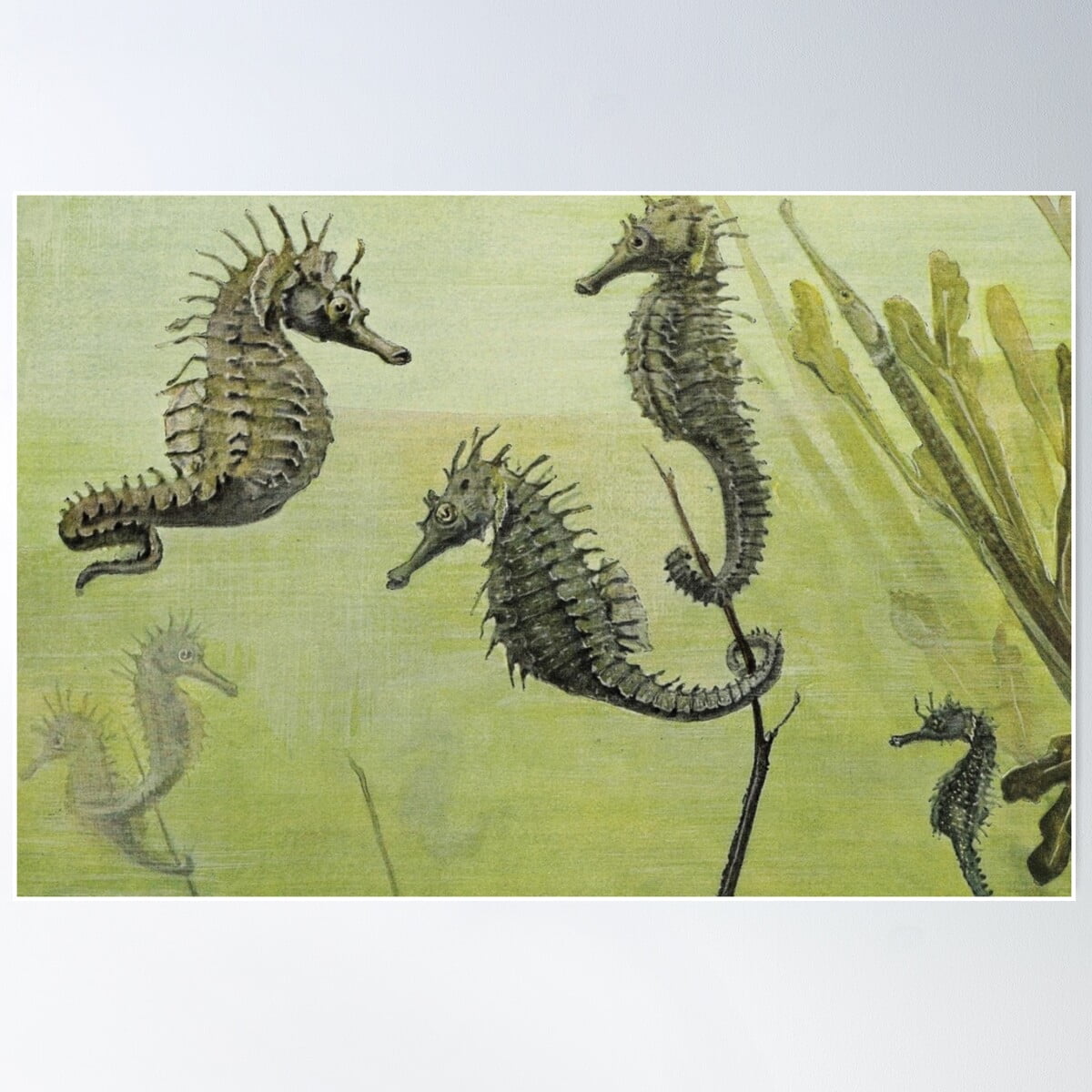 Vintage Seahorses Poster Wall Art, Modern Wall Decor For Living Room ...