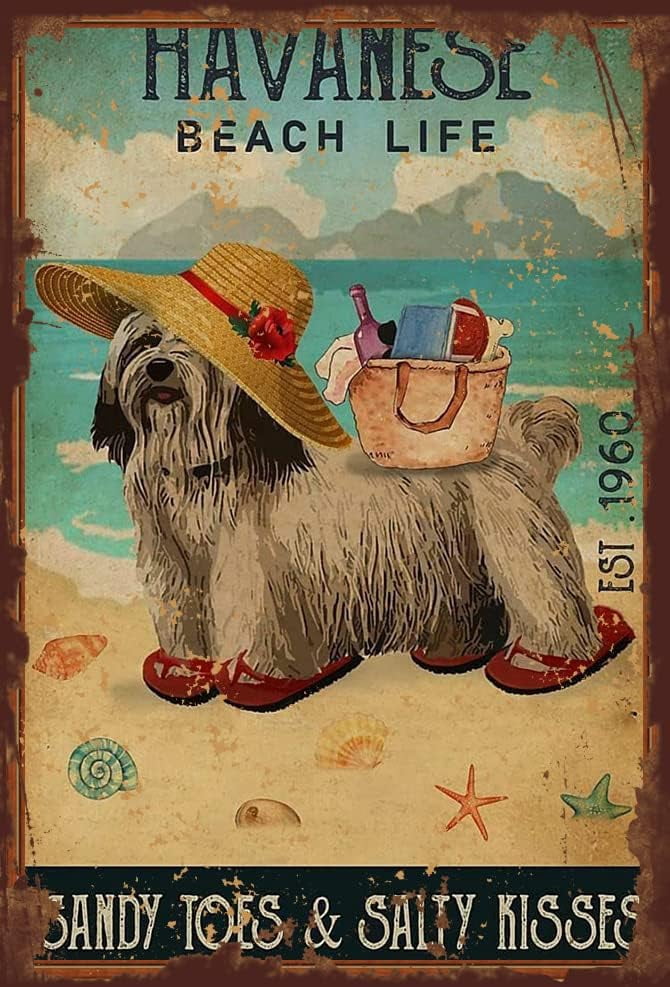 Vintage Signs for Garage Beach Life Sandy Toes Havanese Tin Sign Chic ...