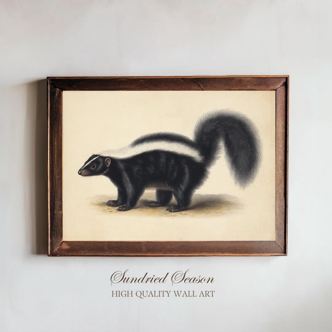 Vintage Skunk Art Print, Woodland Animal Illustration With Rustic Charm ...