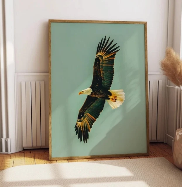 Vintage Soaring Bald Eagle Print Retro Outdoors Birding Poster Travel ...