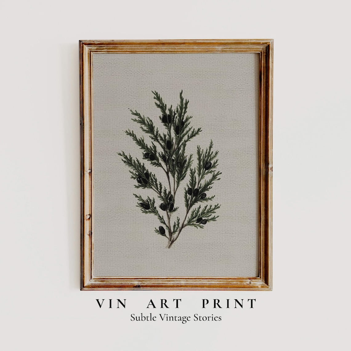 Vintage Spruce Branch Botanical Wall Art Nature Decor, Unframed Canvas ...