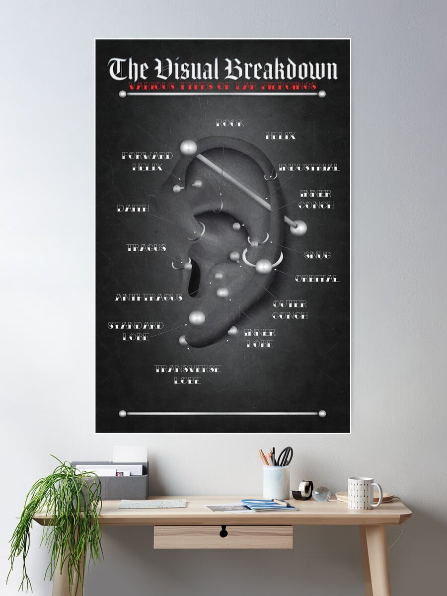 Vintage Style Ear Piercing Chart Poster Wall Art, Modern Wall Decor For ...