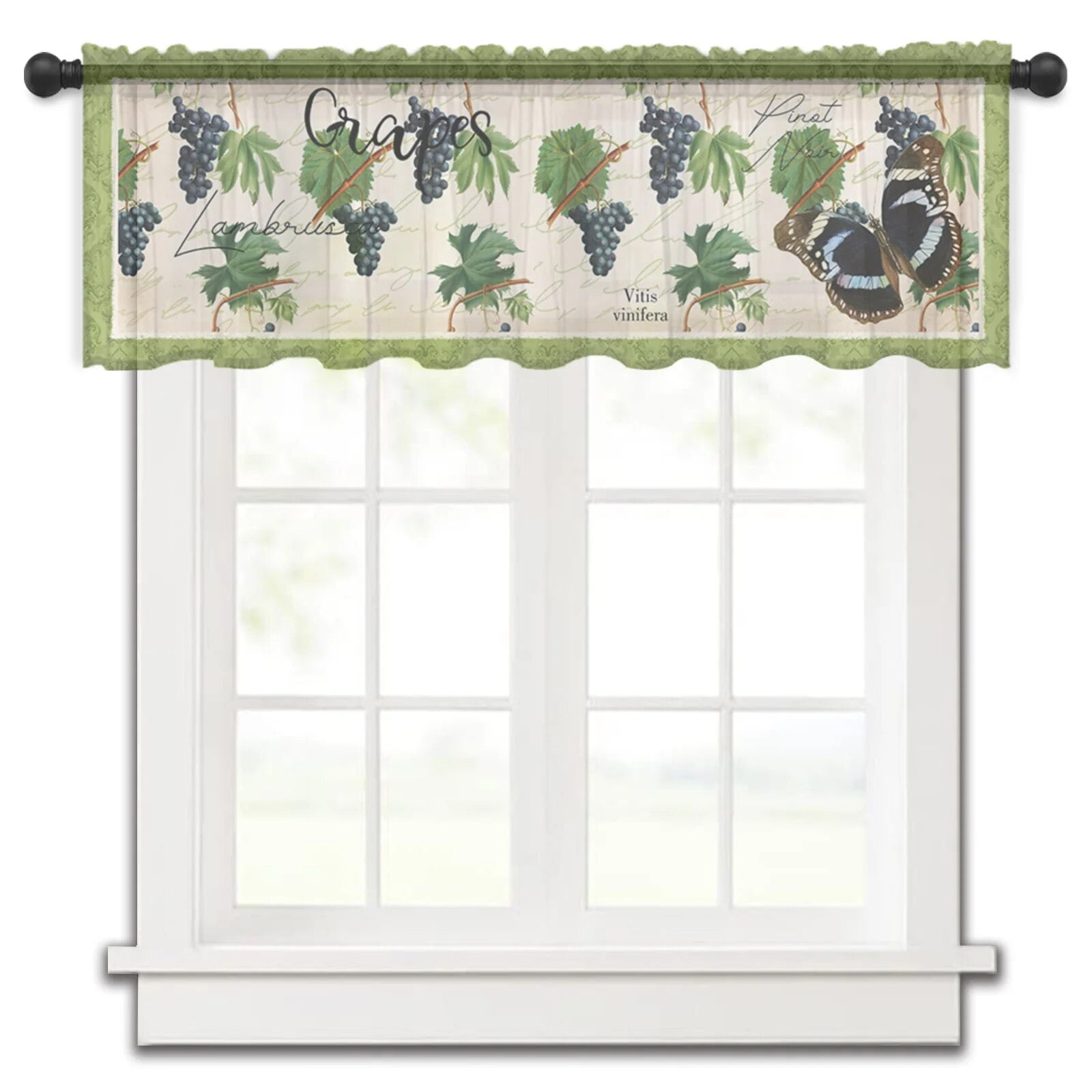 Vintage Textured Plant Fruit Grape Small Window Curtain Tulle Sheer ...