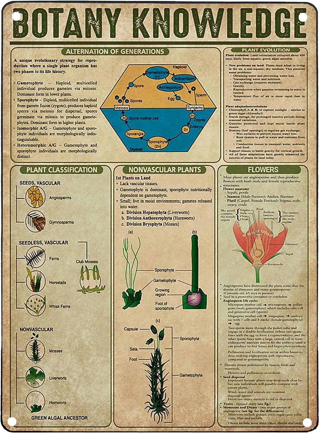 Vintage Tin Sign Botany Knowledge Biological Science Guide Poster ...