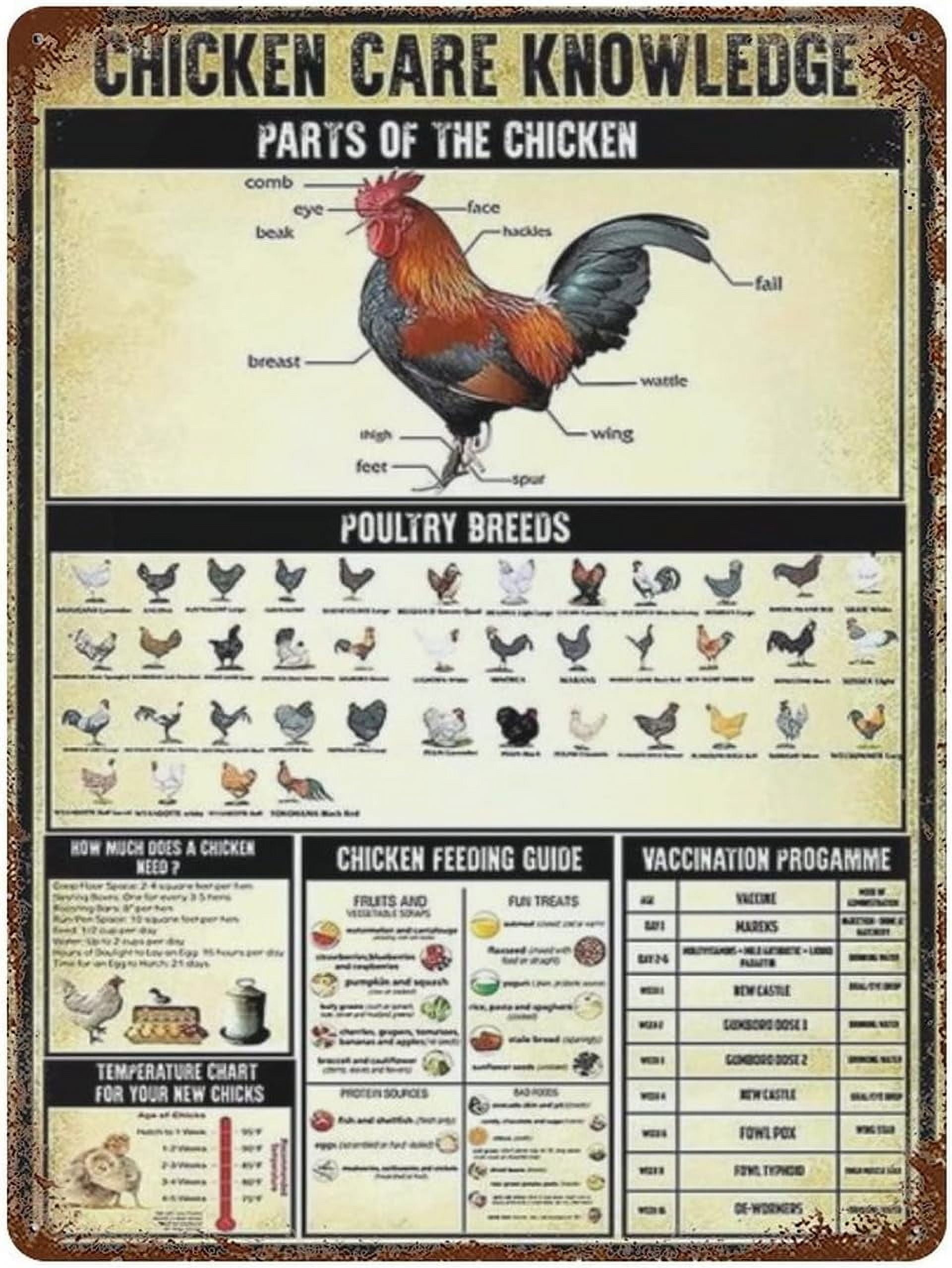 Vintage Tin Sign Chicken Coopcreative Parts Of The Chicken Knowledge ...