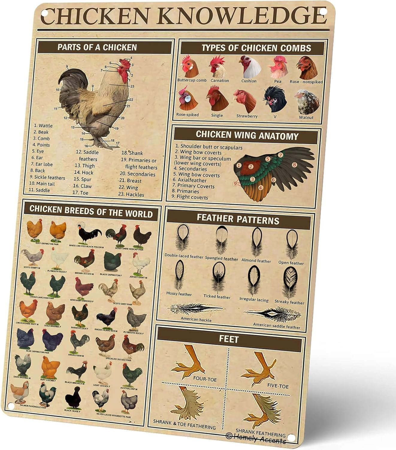 Vintage Tin Sign Chicken Knowledge Breeds Anatomy Educational Chicken ...