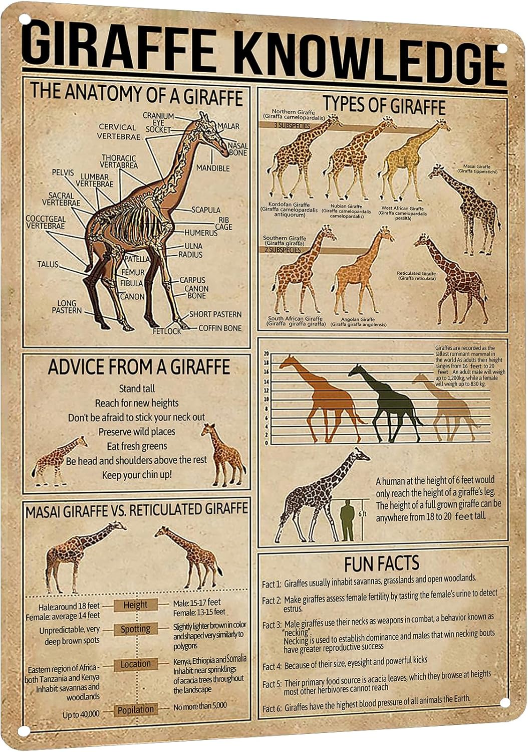 Vintage Tin Sign Giraffe Knowledge Educational Nursery Kids Animal ...