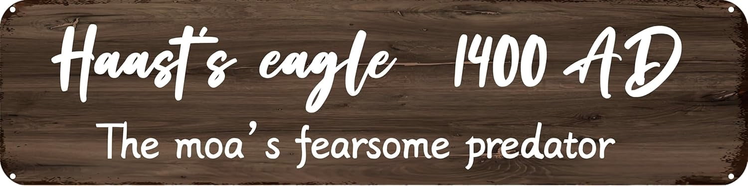 Vintage Tin Sign Haast's Eagle The moa's fearsome predator Retro Metal ...