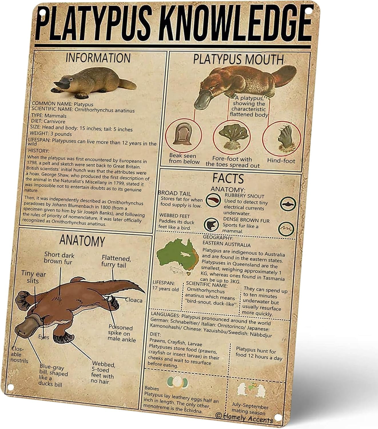 Vintage Tin Sign Homely Accents Platypus Knowledge Educational Cafe ...