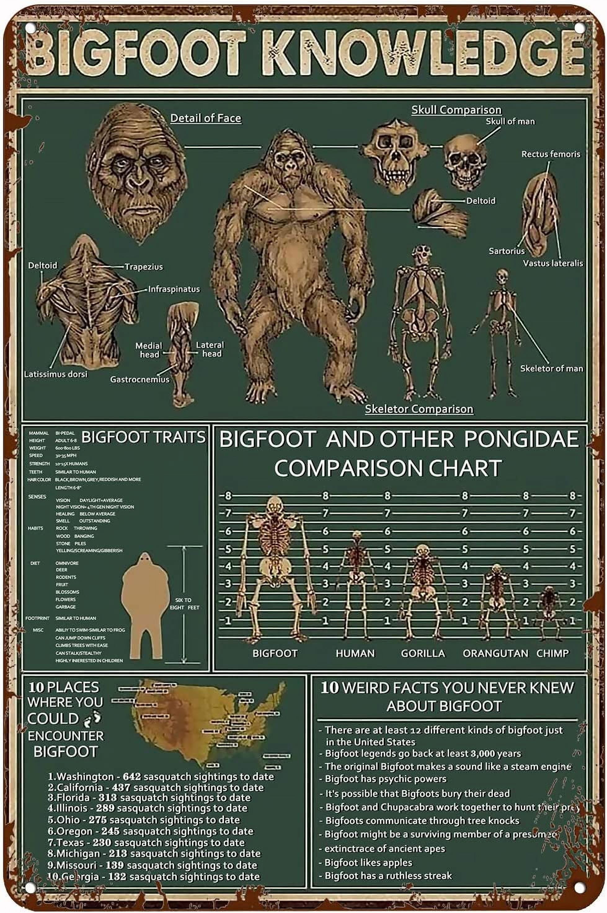 Vintage Tin Sign Metal Plaque Bigfoot Knowledge Bigfoot Bigfoot Lover ...