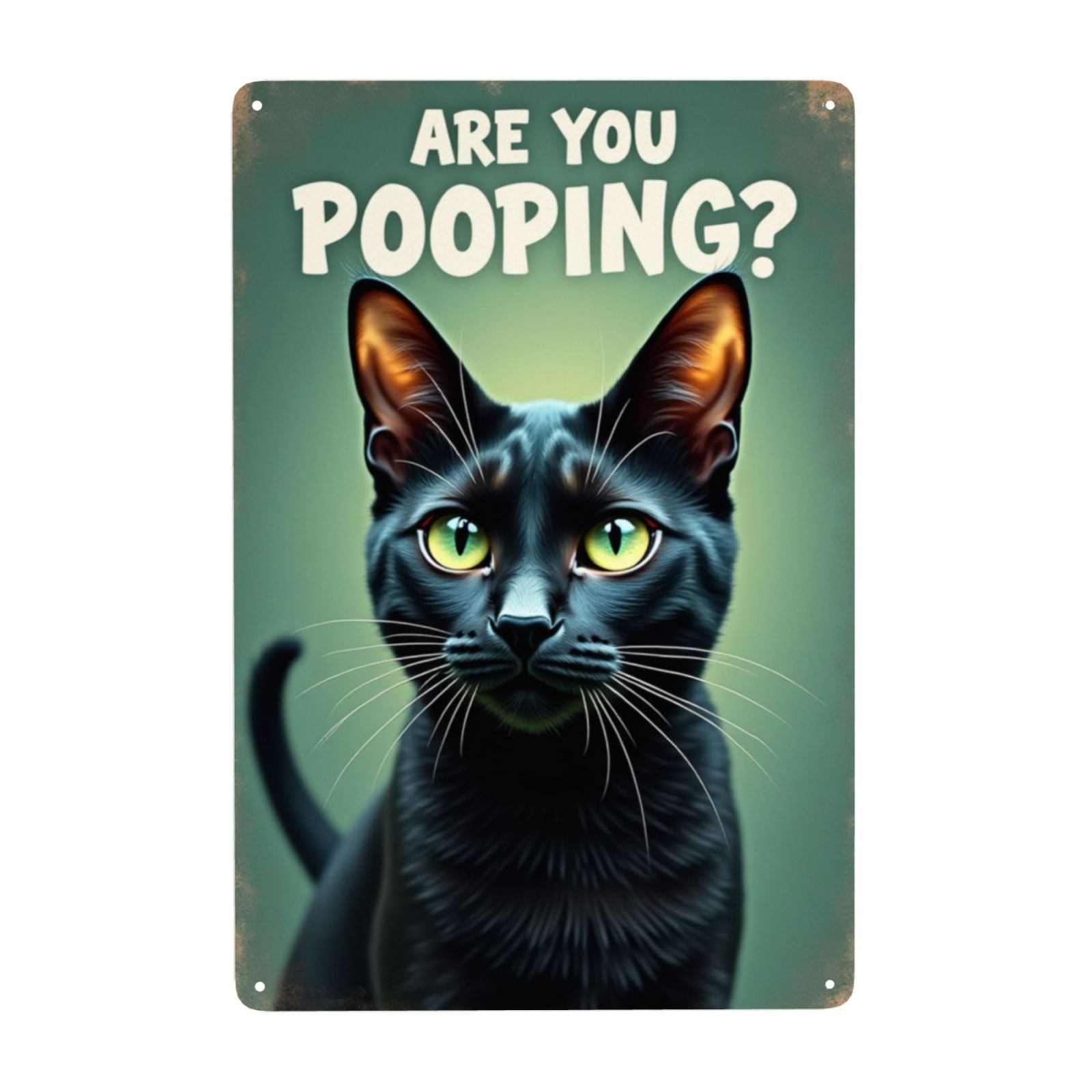 Vintage Tin Sign Metal Sign Are You Pooping Funny Metal Sign Black Cat ...