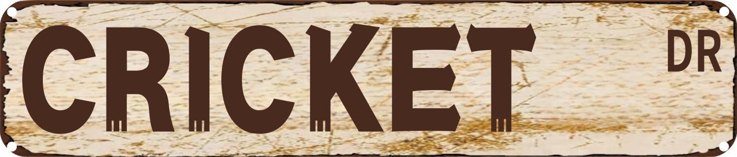 Vintage Tin Sign Retro Metal Wall Decor CRICKET DR Rustic Aluminum ...
