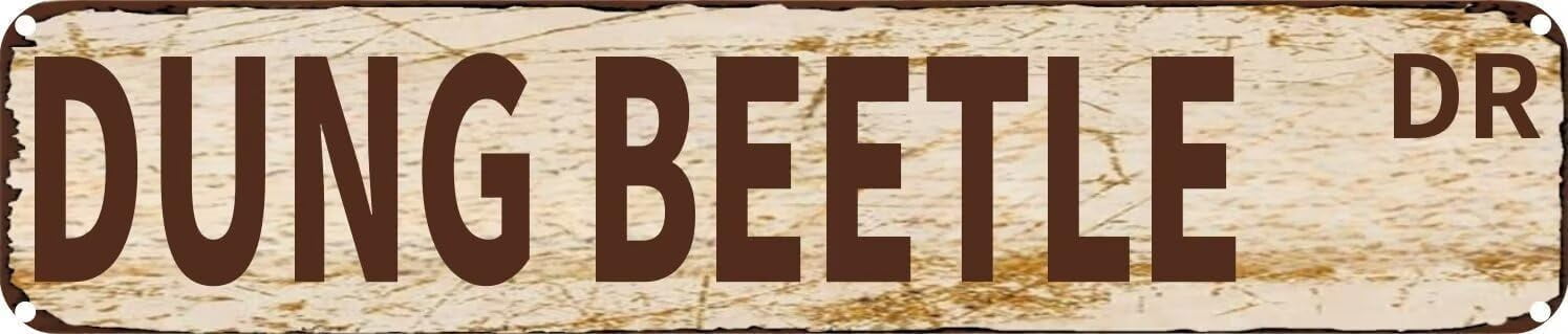 Vintage Tin Sign Retro Metal Wall Decor DUNG BEETLE DR Rustic Aluminum ...