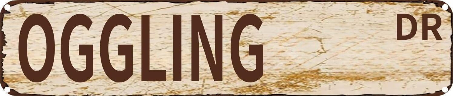 Vintage Tin Sign Retro Metal Wall Decor OGGLING DR Rustic Aluminum ...