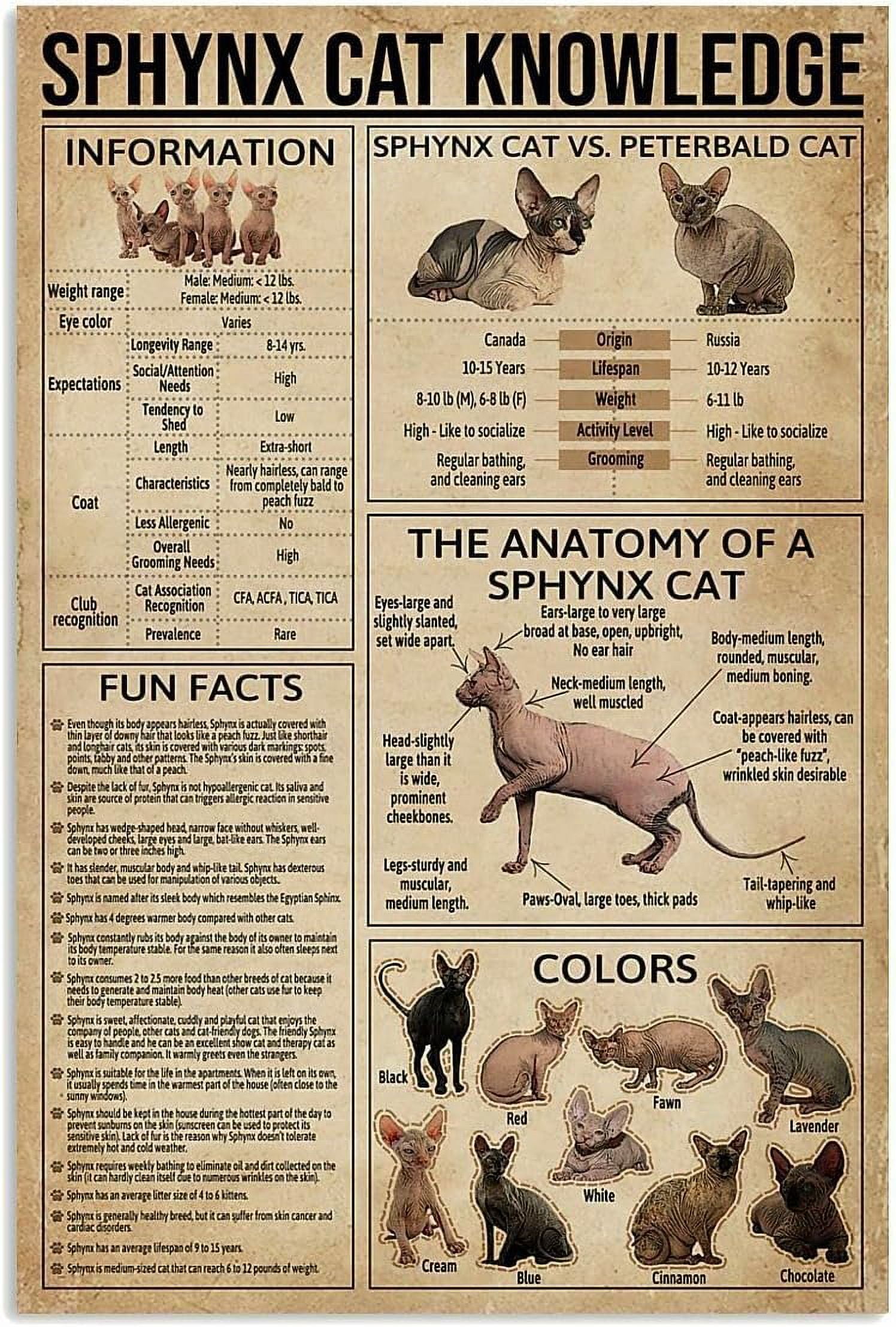 Vintage Tin Sign Sphynx Cat Knowledge Sphynx Cat Lover Farm Poster 8x12Inches - Walmart.com