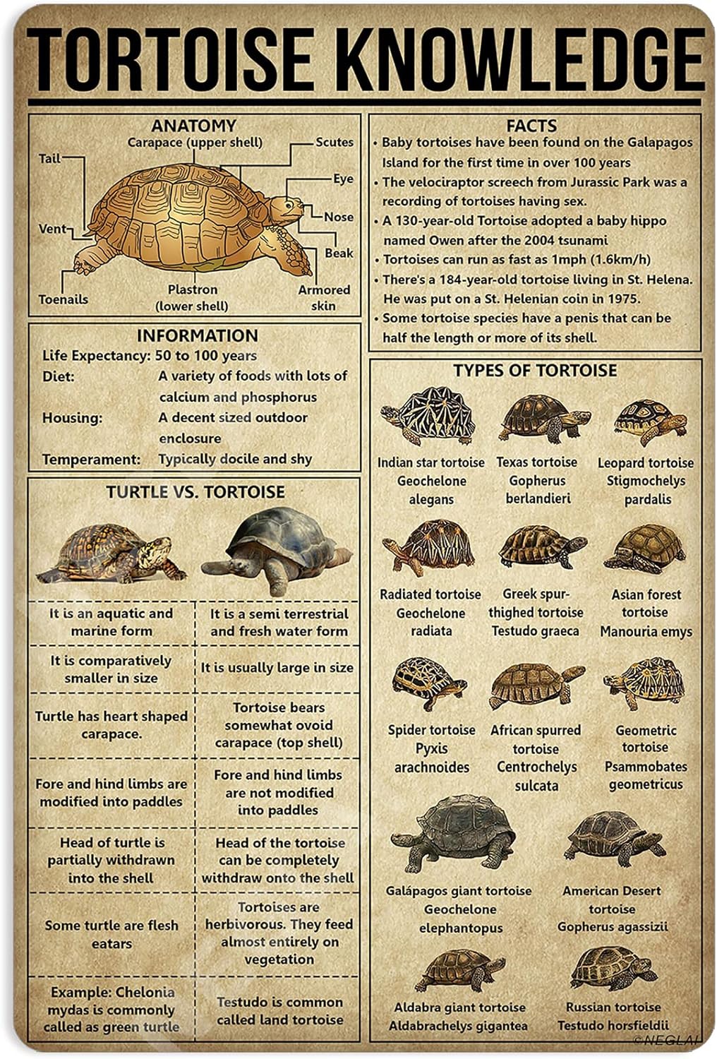 Vintage Tin Sign Tortoise Knowledge Poster 8x12Inches - Walmart.com