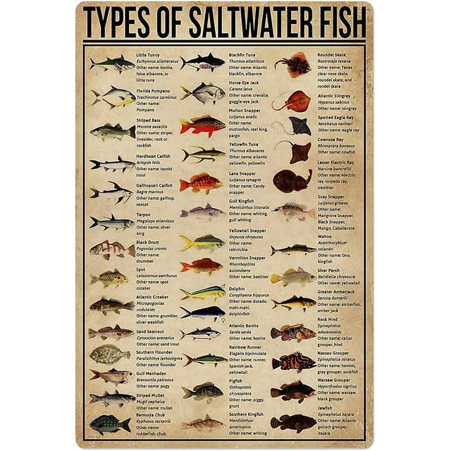 Vintage Tin Sign Typ Of Saltwater Fish Fisherman Knowledge Fishing ...