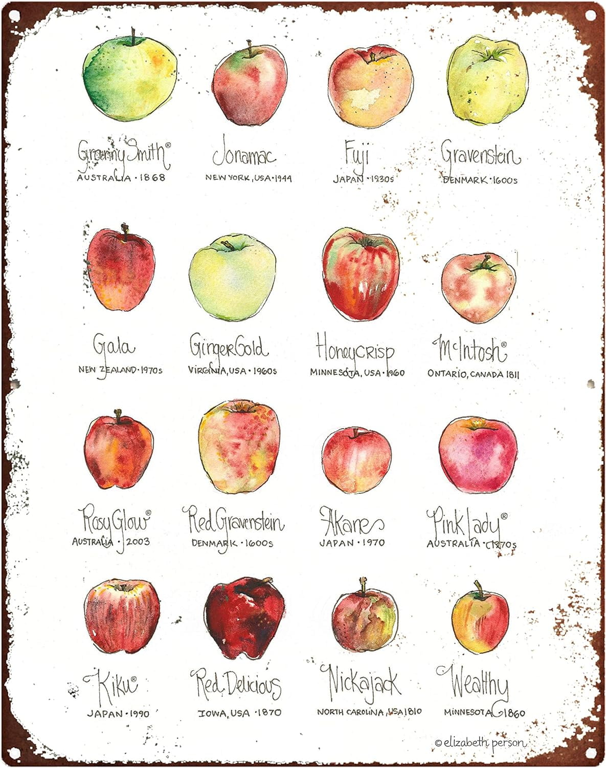 Vintage Tin Signs for Men Apple Chart Watercolor Art Print Cheerful ...