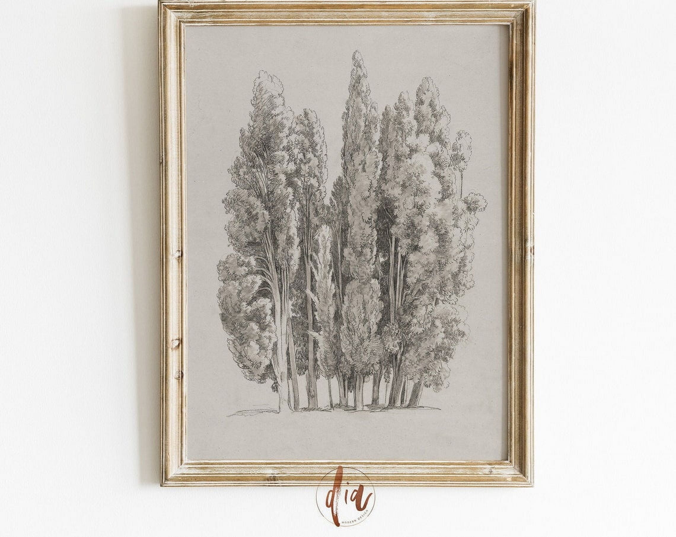 Vintage Tree Sketch, Antique Tree Drawing, Neutral Aesthetic, Light ...