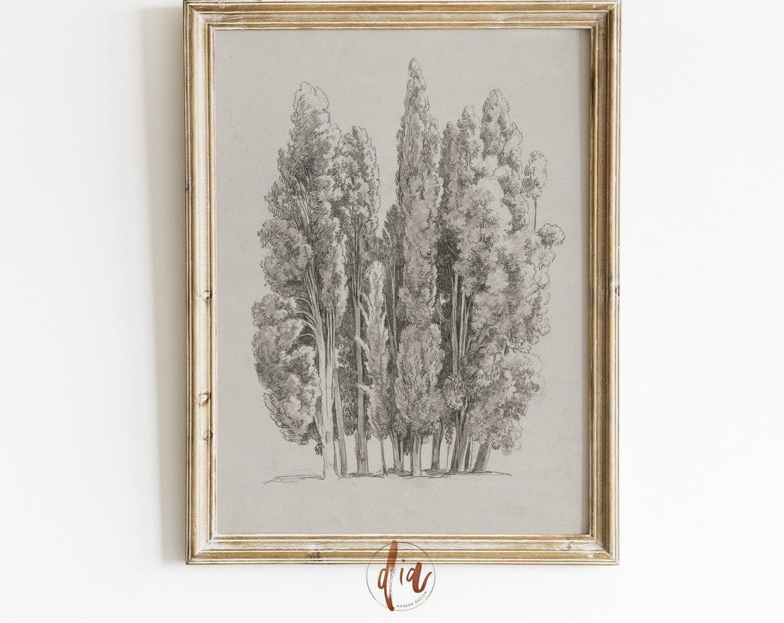 Vintage Tree Sketch, Antique Tree Drawing, Neutral Aesthetic, Light ...