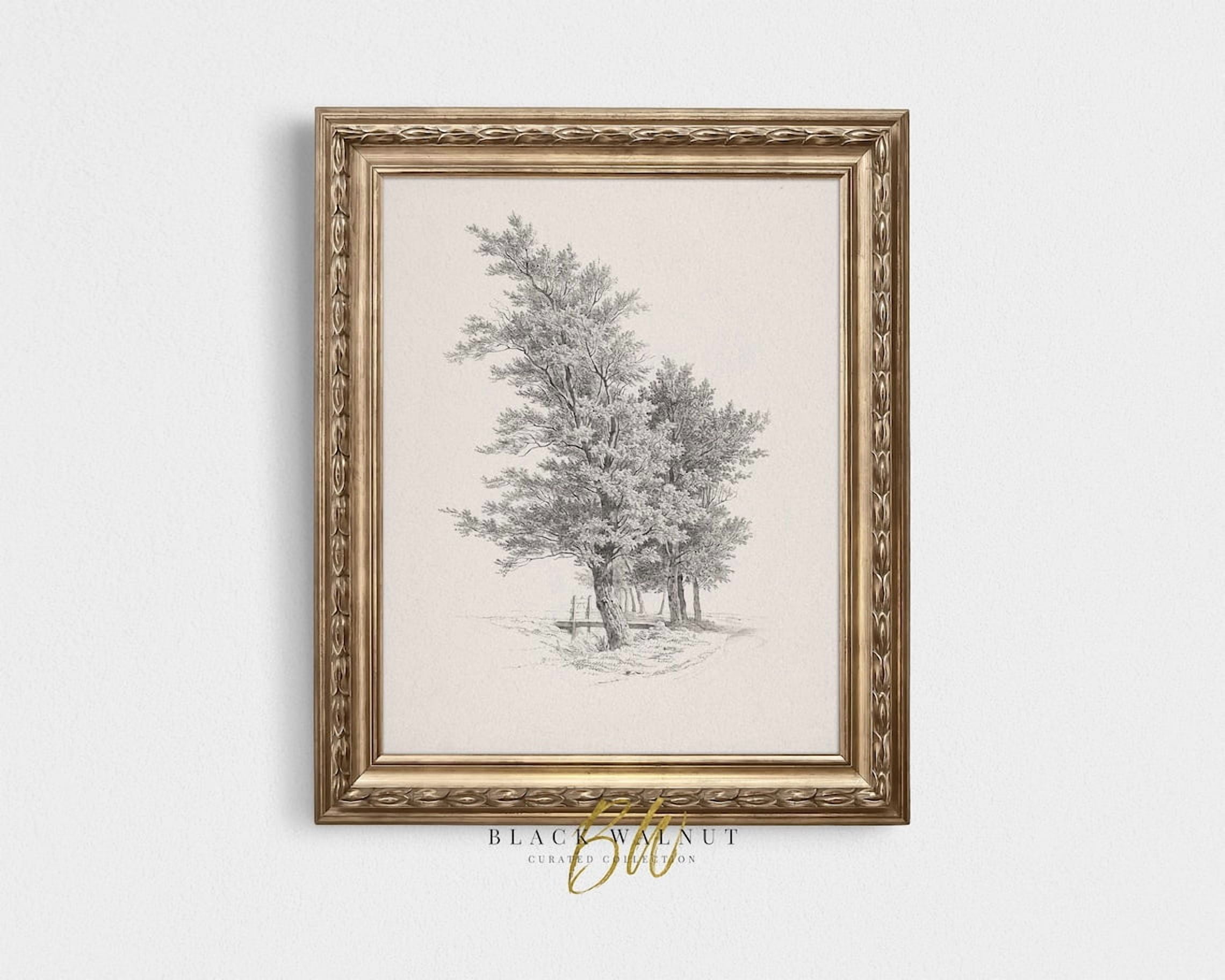 Vintage Tree Sketch, Antique Tree Drawing Poster , French County ...