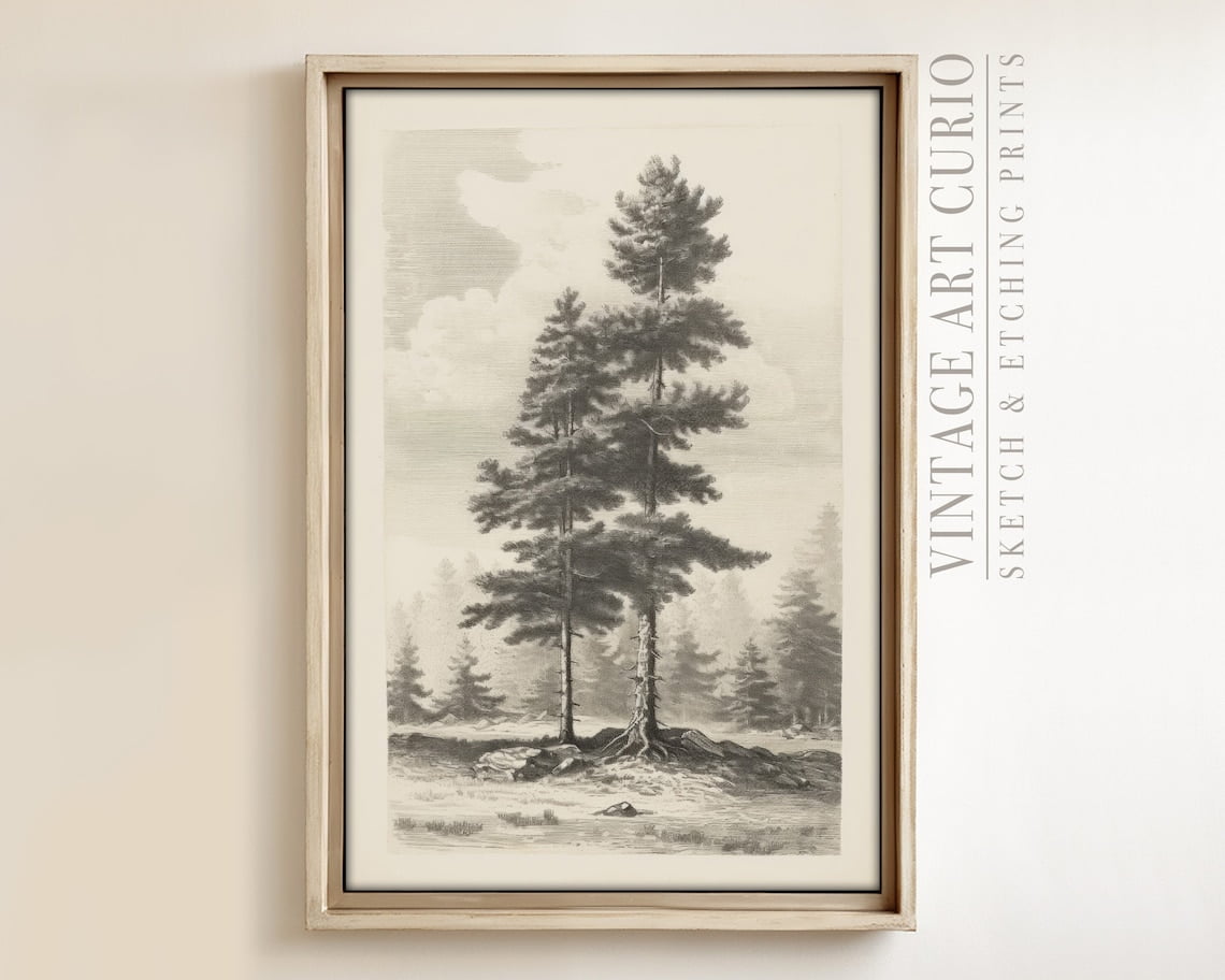 Vintage Tree Sketch, Rustic Farmhouse Art Print Home Decor #2873, 24x36 ...