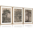 TOARTi Vintage Tree Sketch Wall Art Set, 16"x24" Framed Canvas ...