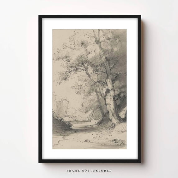 Vintage Tree Sketch Woodland Scene Drawing Wall Art Print, Living Room ...