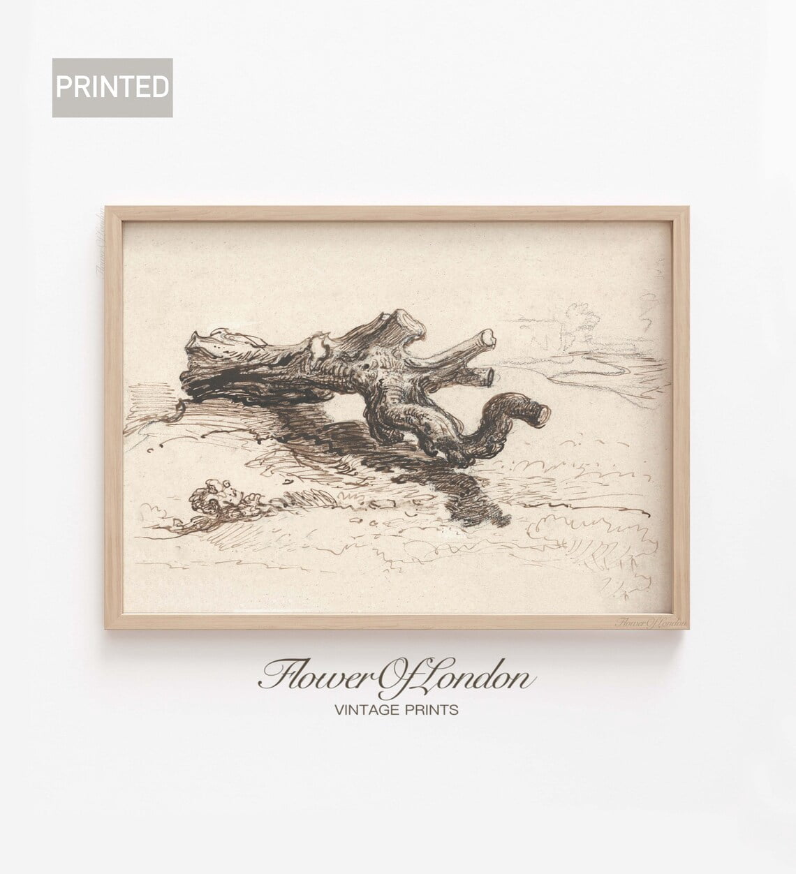 Vintage Tree Snag Sketch Woodlands Forest Tree Branch Stump, Stretched ...