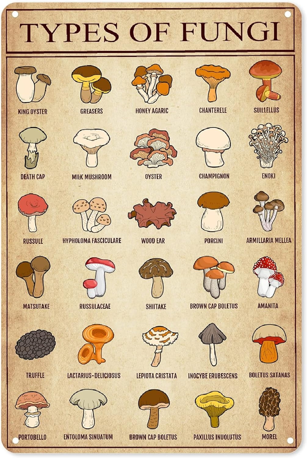 Vintage Types Of Fungi Metal Sign,Vintage Metal Wall Decor Poster Home ...