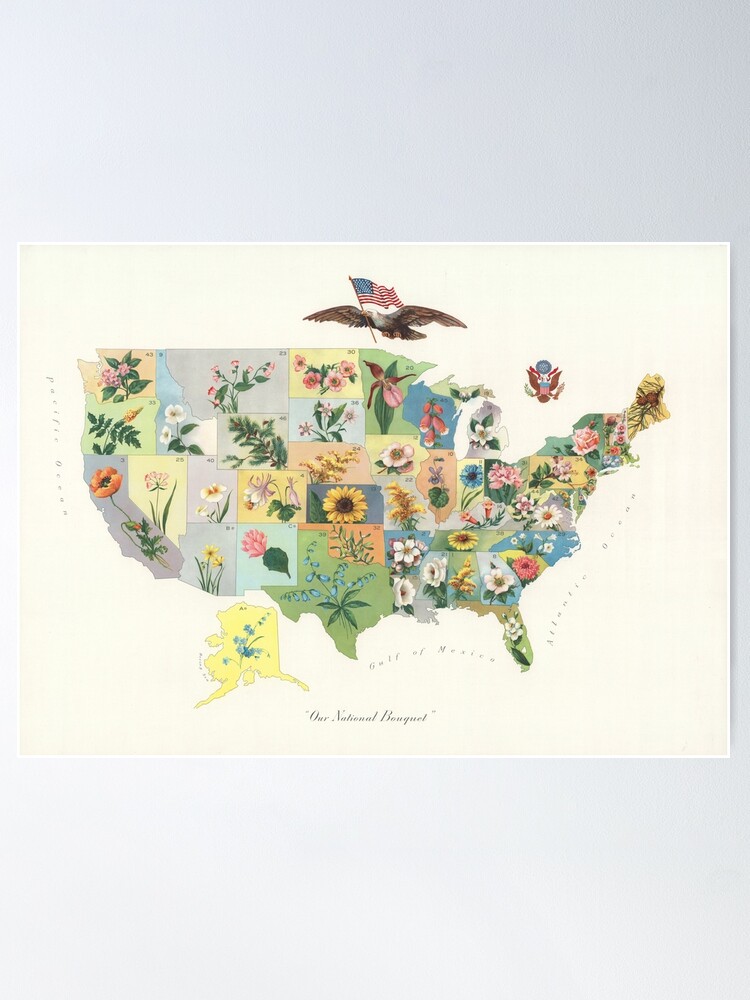 Vintage US State Flower Map (1911) Poster - Walmart.com