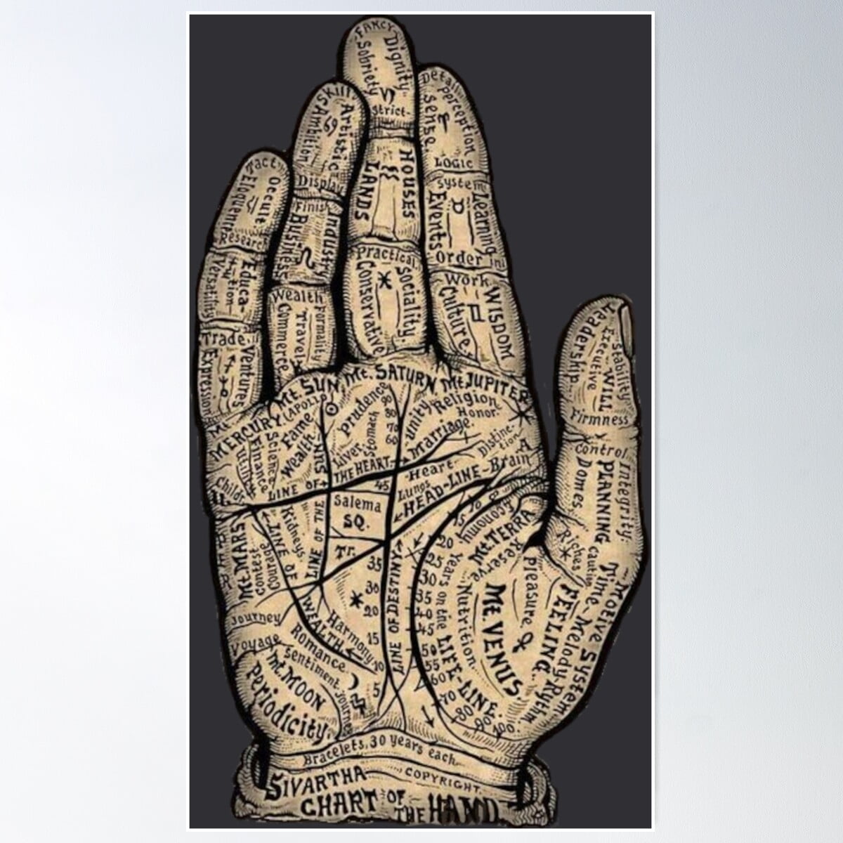Vintage Victorian Palmistry Illustration Poster Wall Art, Modern Wall ...