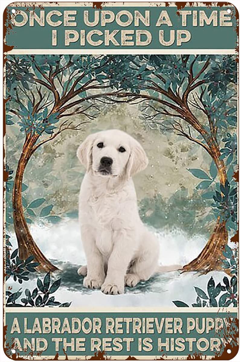 Vintage Wall Decor Metal Poster Plaque I Picked Up A Labrador Retriever ...