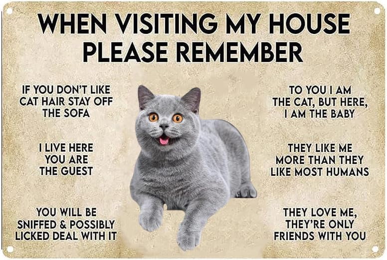 Vintage Wall Poster Metal Plaque Funny Cat Poster When Visiting My ...