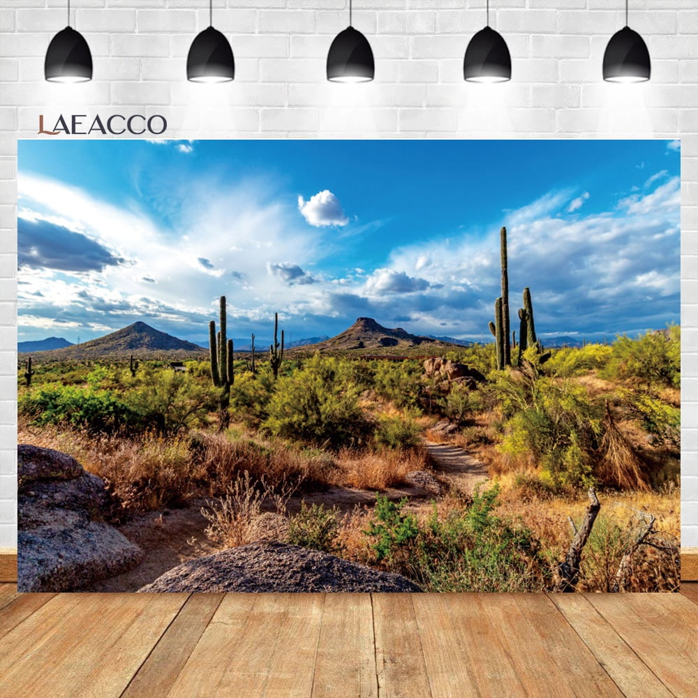 Vintage Western Street Town Backdrop Countryside Wild West Buildings ...