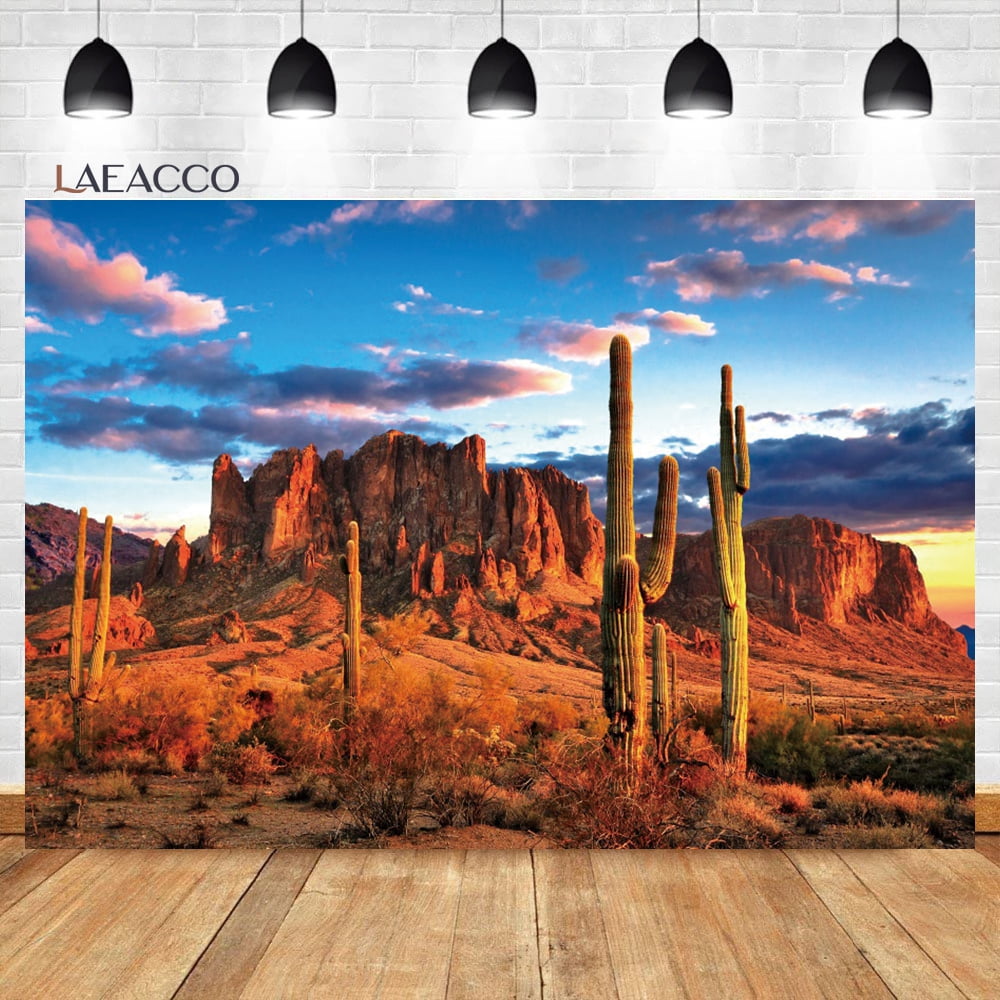 Vintage Western Street Town Backdrop Countryside Wild West Buildings ...