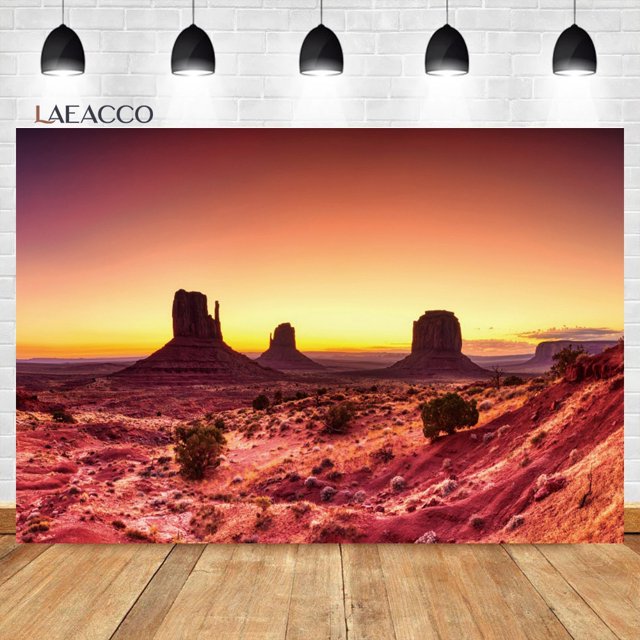 Vintage Western Street Town Backdrop Countryside Wild West Buildings ...