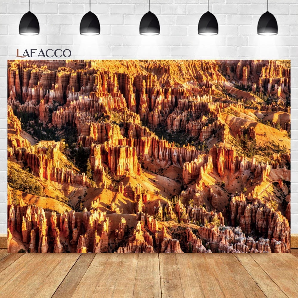 Vintage Western Street Town Backdrop Countryside Wild West Buildings ...