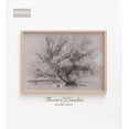 Vintage Willow Tree Sketch Minimalist Tree Ducks Pond Drawing ...