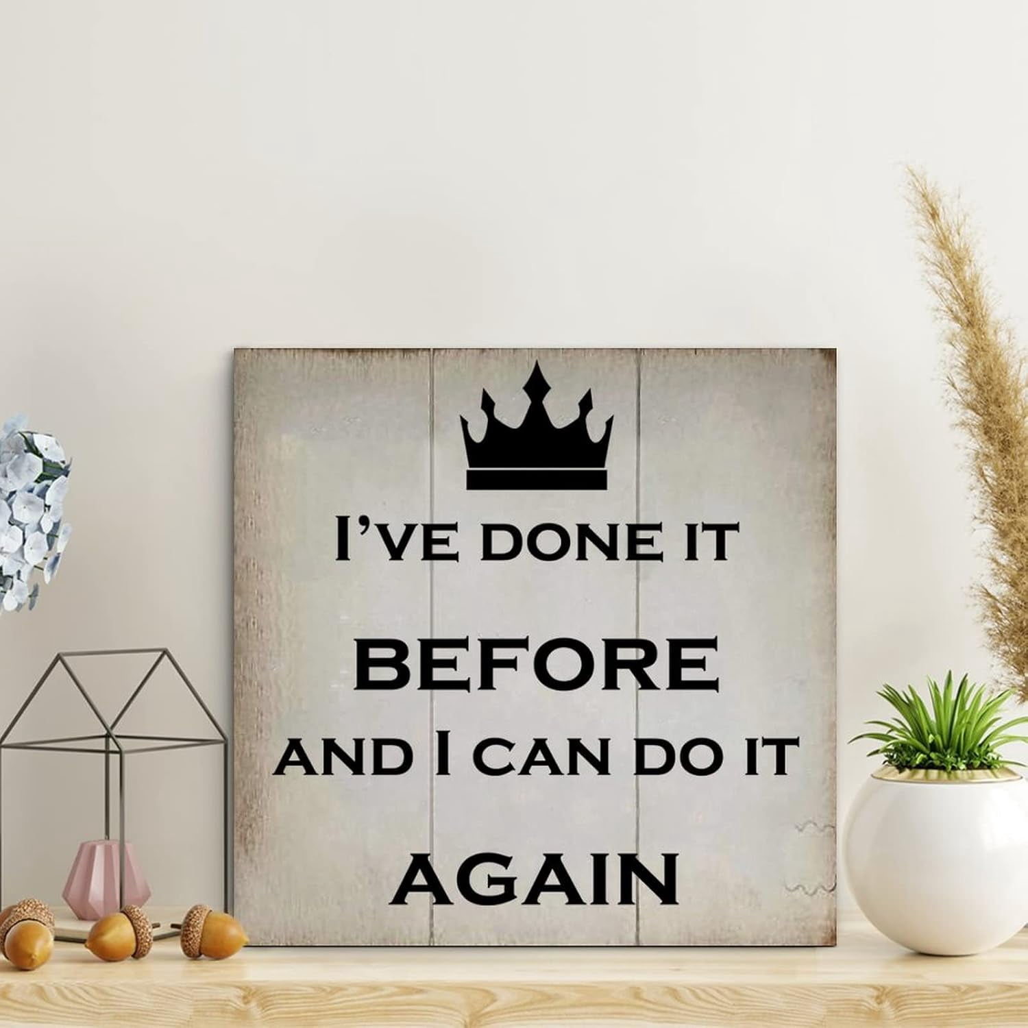 Vintage Wood Signs With Quotes I'Ve Done It Before Wooden Sign ...