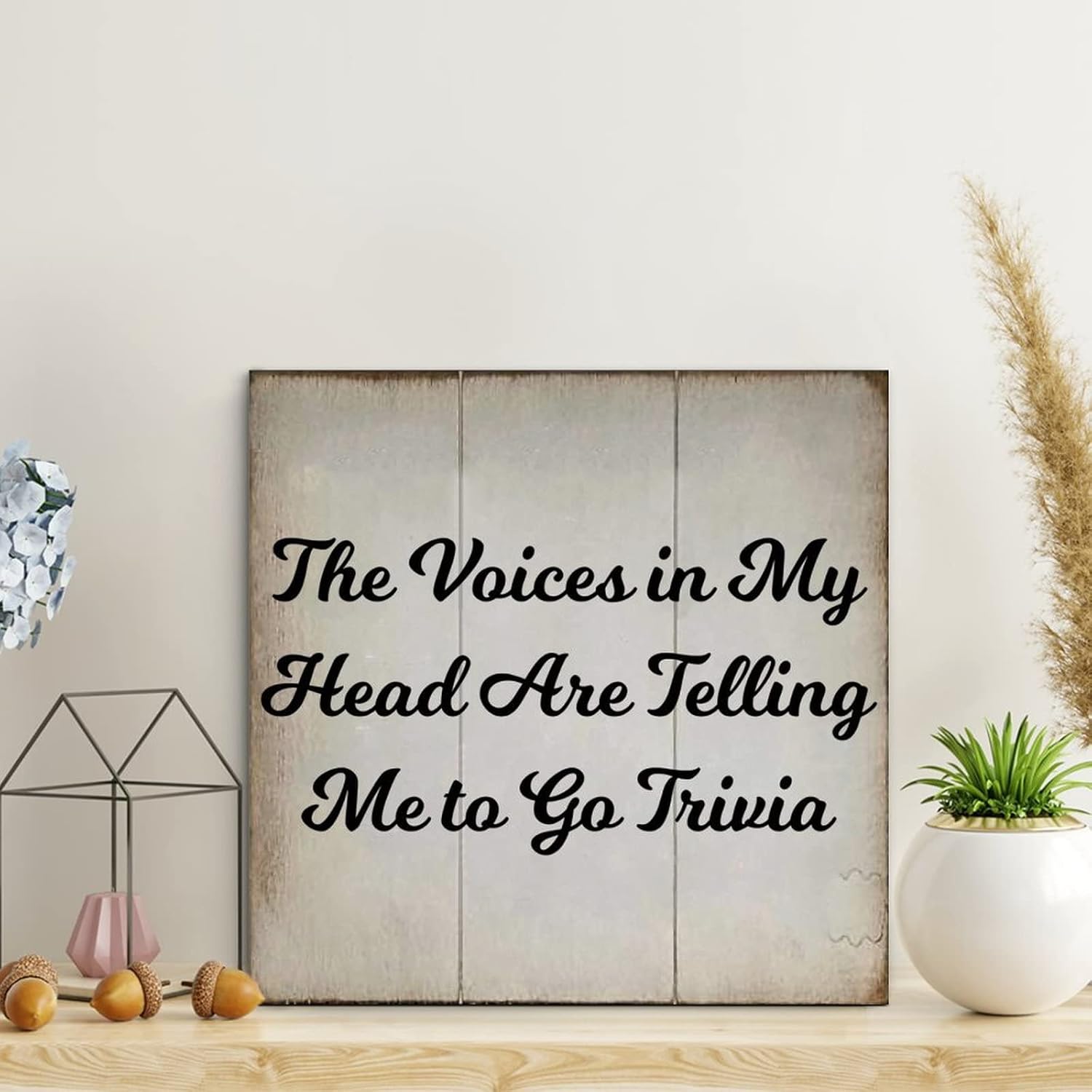 Vintage Wood Signs The Voices In My Head Are Telling Me To Go Trivia ...