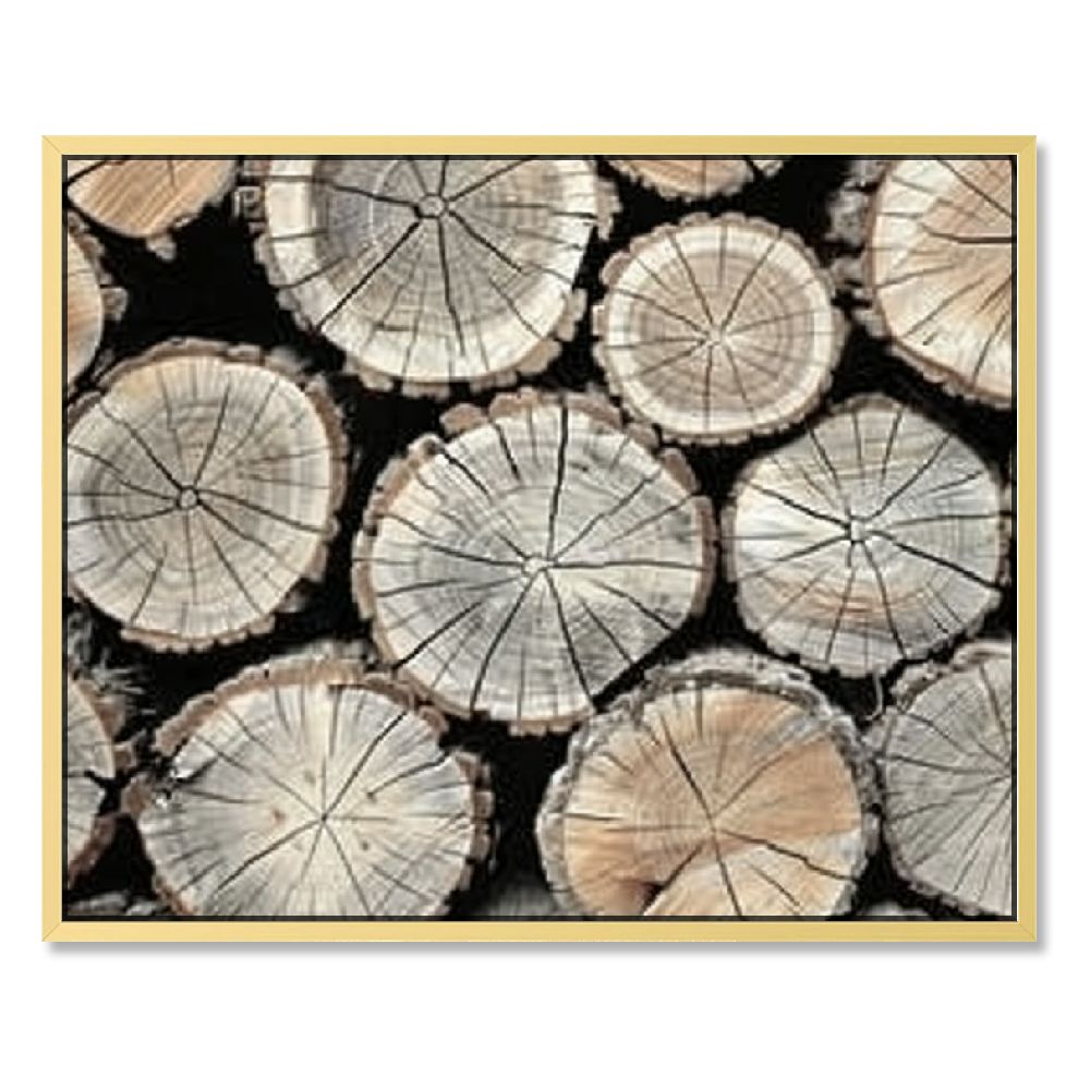 Vintage Wood Tree Rings Canvas Wall Art Forest Wood Ring Nature ...